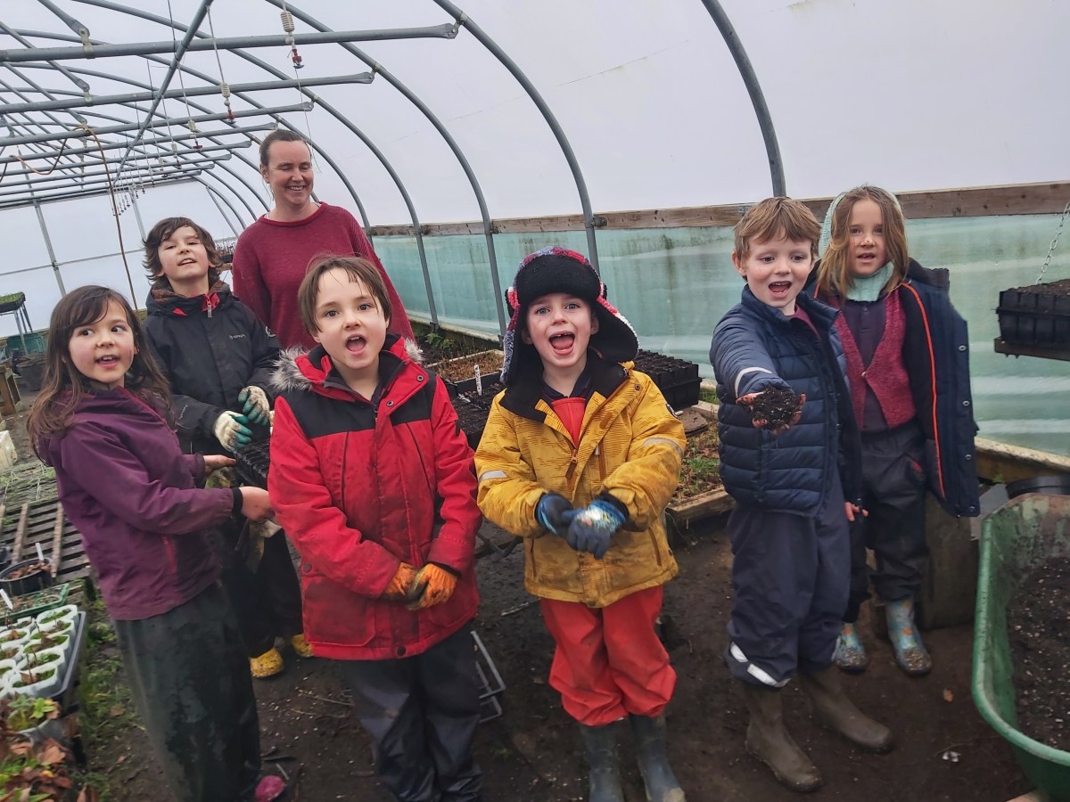 Our visit to the tree nursery